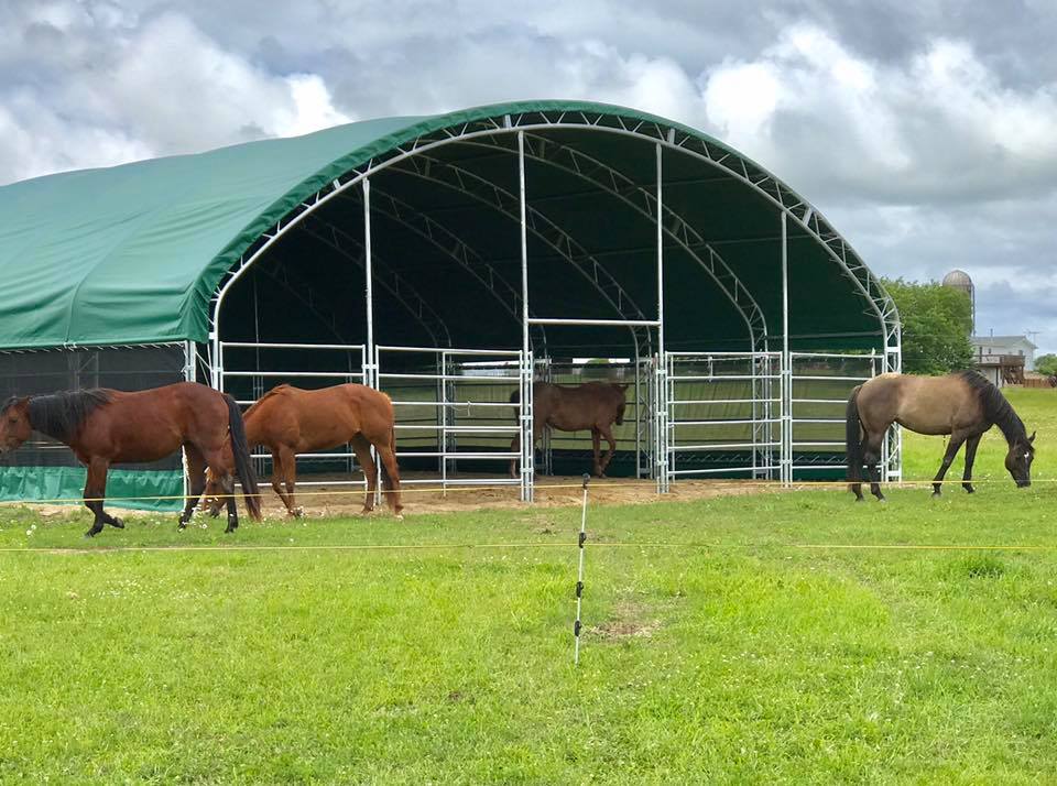 LS4040 - 12 x 12 Metre Livestock Shelter Tent – Brian Scott Engineering